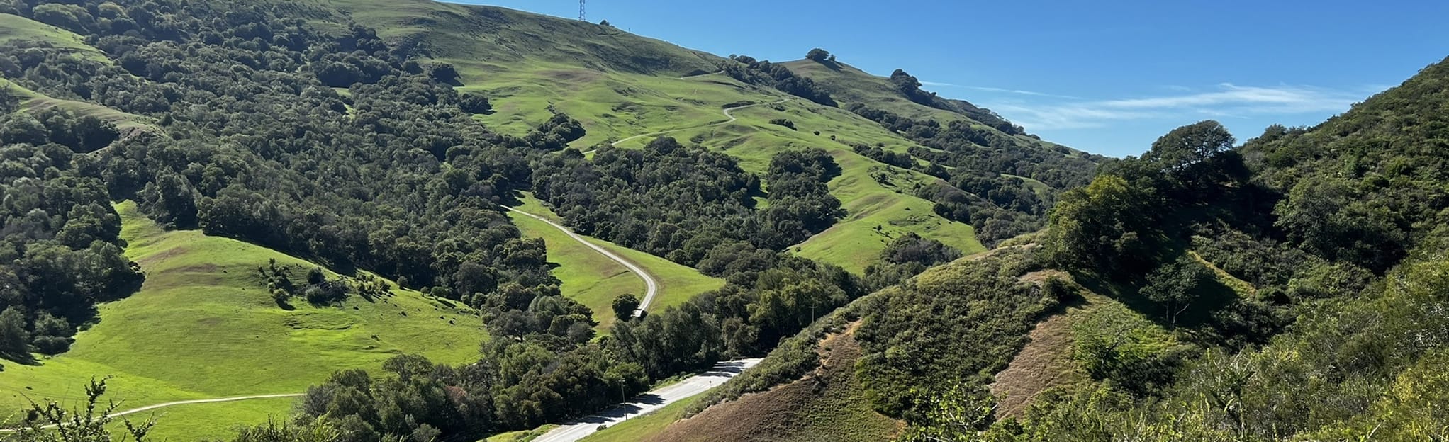 Mahogany and Chamise Loop: 17 Reviews, Map - California | AllTrails