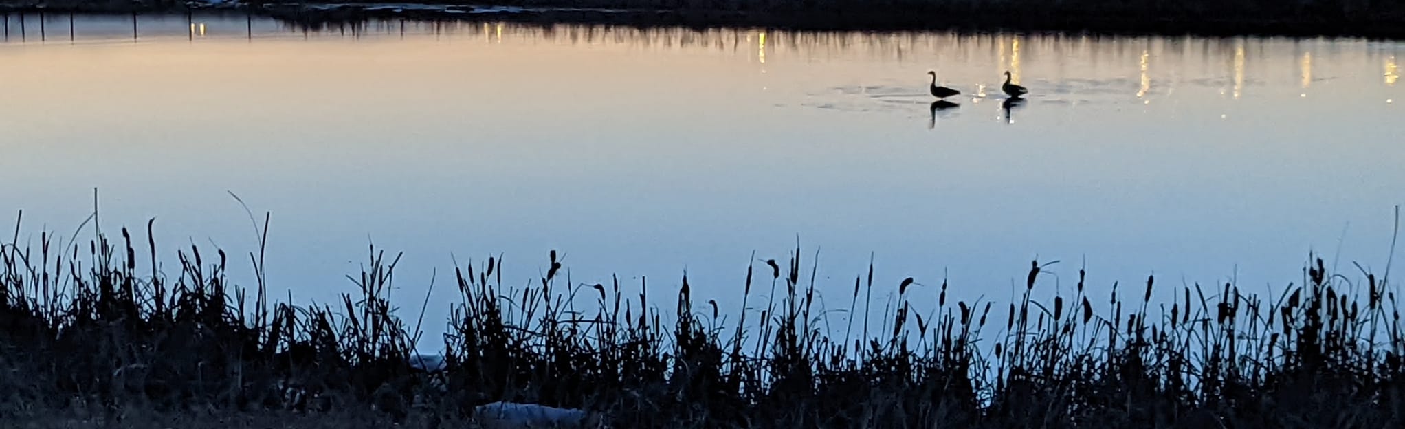 Ralph Klein Park Loop: 61 Reviews, Map - Alberta, Canada | AllTrails