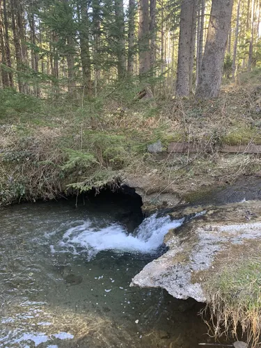 Best Hikes and Trails in Lans | AllTrails