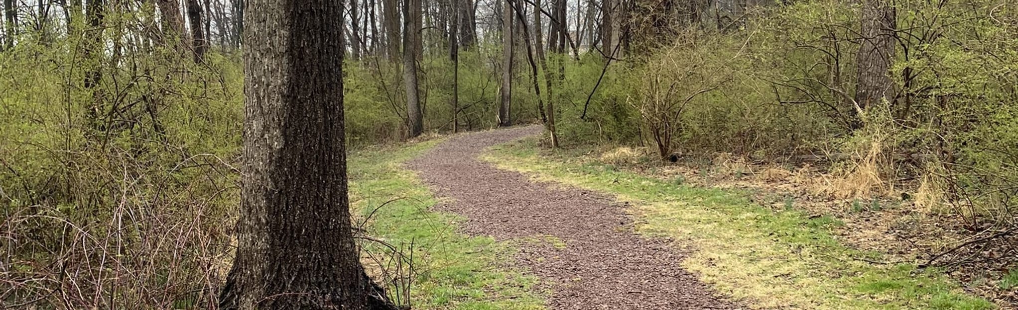 AllTrails | Spring Valley Park Complete Loop: 25 Reviews, Map ...