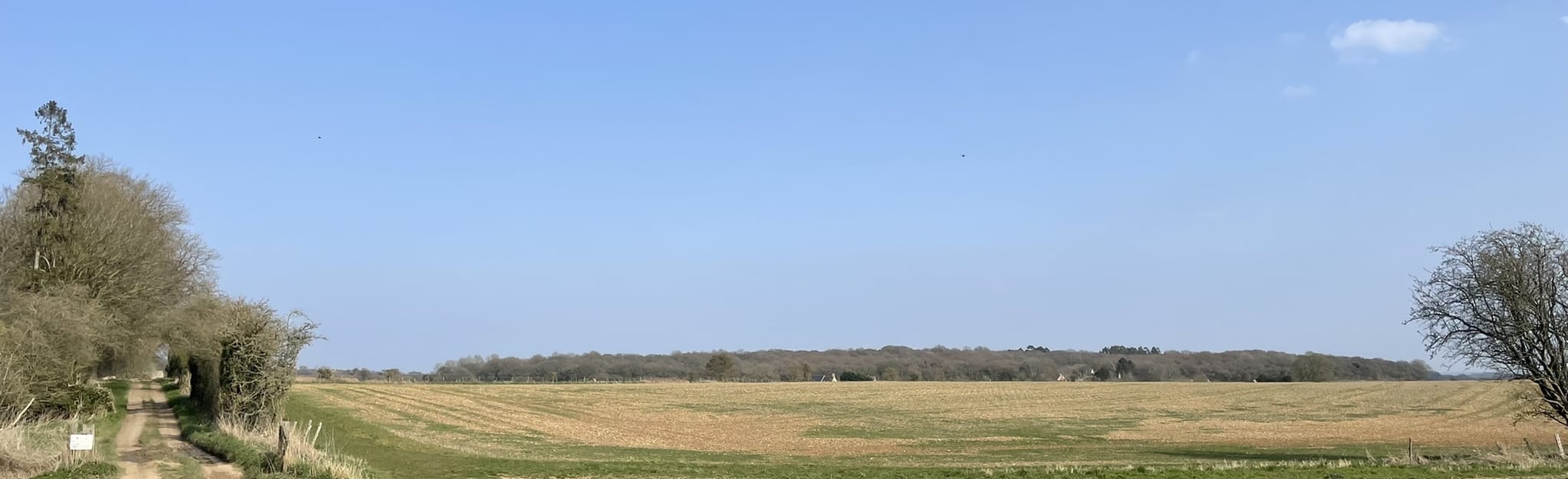 Leafield Circular: 28 Reviews, Map - Oxfordshire, England | AllTrails