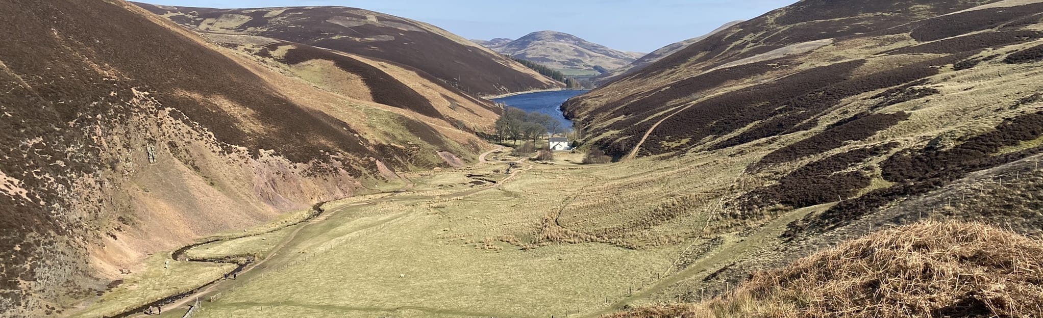 Pentland Ridge: Balerno Common, West Kip, East Kip, and Scald Law: 242 ...