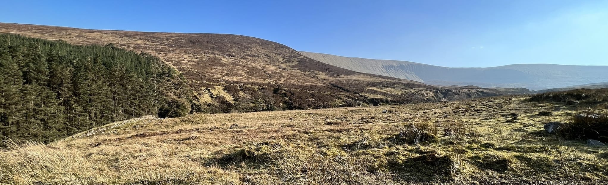 Glengarra Wood to Lake Muskry, County Tipperary, Ireland - 256 Reviews ...