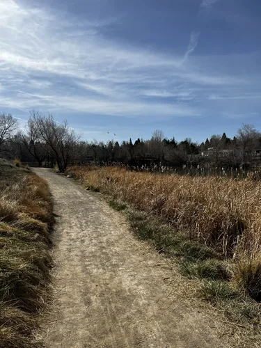 Best Hikes and Trails in Rancho San Rafael Regional Park | AllTrails