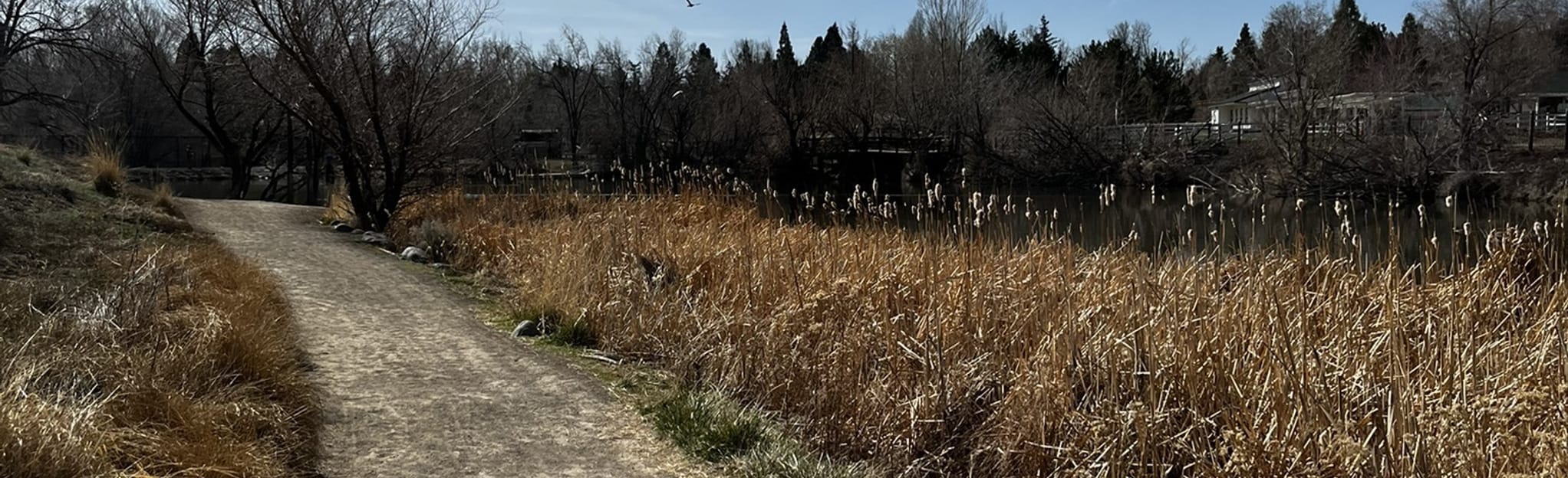 AllTrails | May Arboretum and Herman Pond Trail: 222 Reviews, Map - Nevada