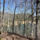 Thompson Loop, North Carolina - 185 Reviews, Map | AllTrails