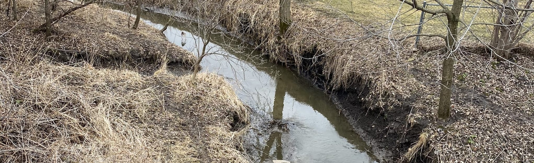 White Oaks and Douglas State Trail Loop, Minnesota - 23 Reviews, Map ...