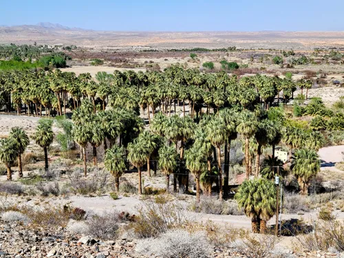 Best Hikes and Trails in Moapa Valley National Wildlife Refuge | AllTrails