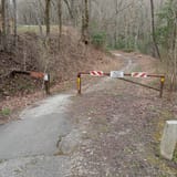 Thompson Loop, North Carolina - 185 Reviews, Map | AllTrails