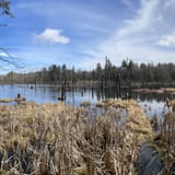 Monson Community Loop, New Hampshire - 268 Reviews, Map | AllTrails