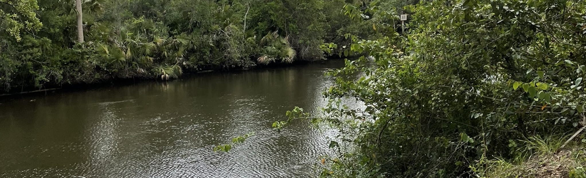North Fork of St. Lucie River: River Park to Richard Becker Preserve ...