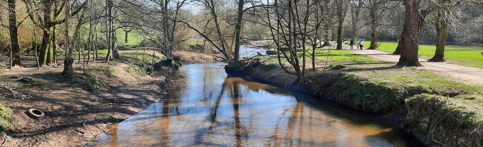 Styal and Giants Castle Woods Circular: 262 Reviews, Map - Cheshire ...
