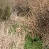 Cattle Point Trail, Washington - 121 Reviews, Map | AllTrails