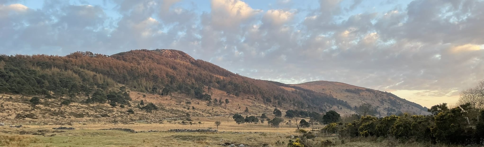 Rocky Mountain, Newry, Mourne and Down, Northern Ireland - 10 Reviews ...