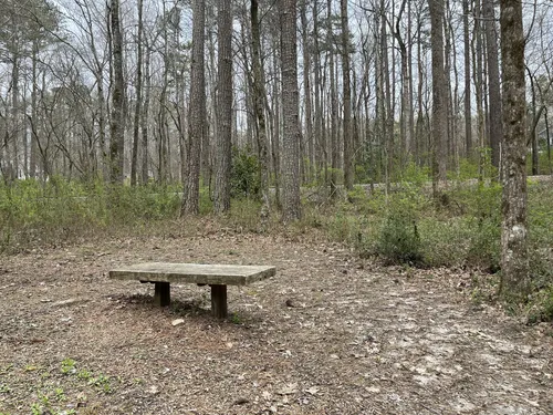 Best Hikes and Trails in Nelson | AllTrails