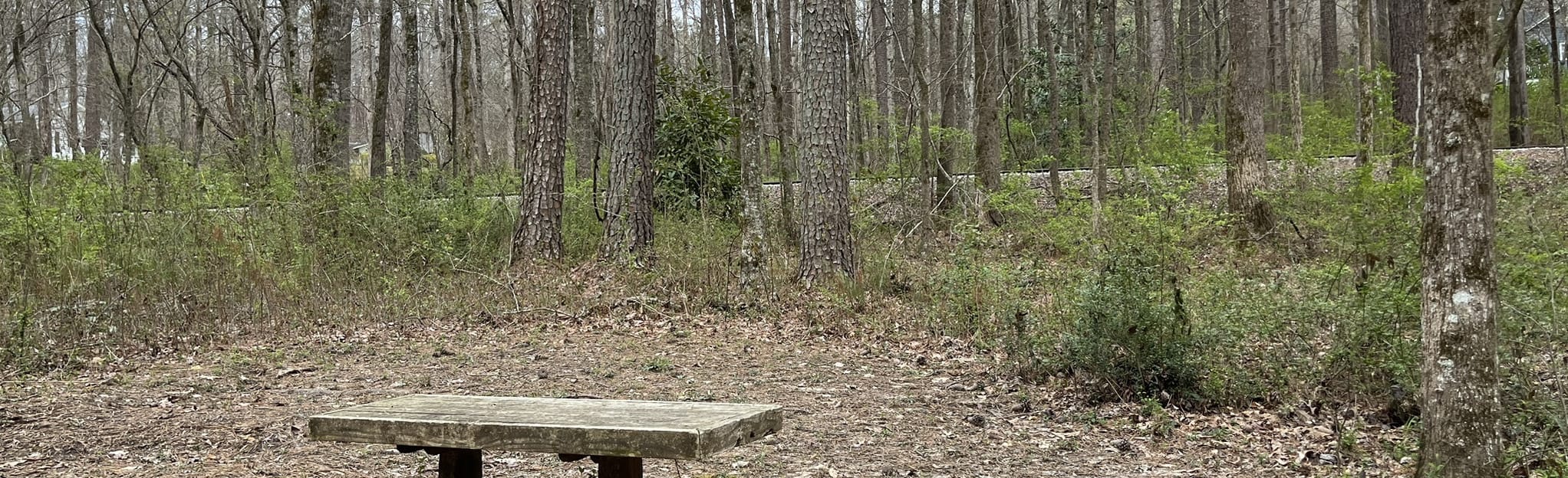 Nelson City Nature Trail, Georgia - 18 Reviews, Map | AllTrails