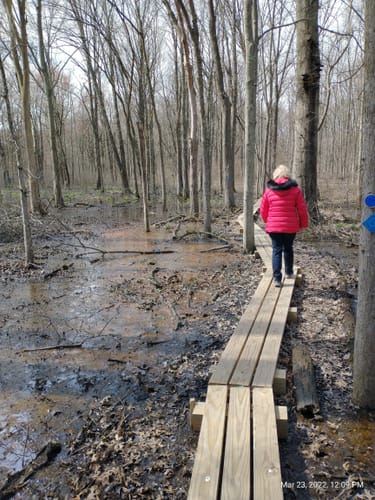 Best Hikes and Trails in Great Swamp Watershed Association | AllTrails