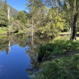 Warburton River Walk, Victoria, Australia - 203 Reviews, Map | AllTrails