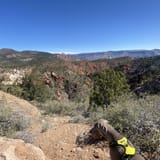 Utah Giant Sequoia Tree, Utah - 92 Reviews, Map | AllTrails