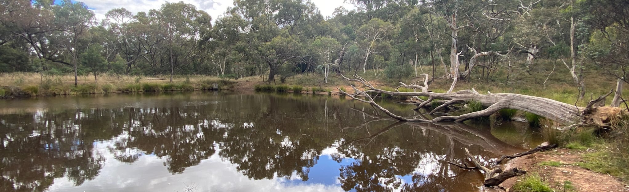 Majura Pines via Hackett, Australian Capital Territory, Australia - 15 ...