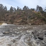 Galatea Point & Dights Falls Loop, Victoria, Australia - 205 Reviews ...