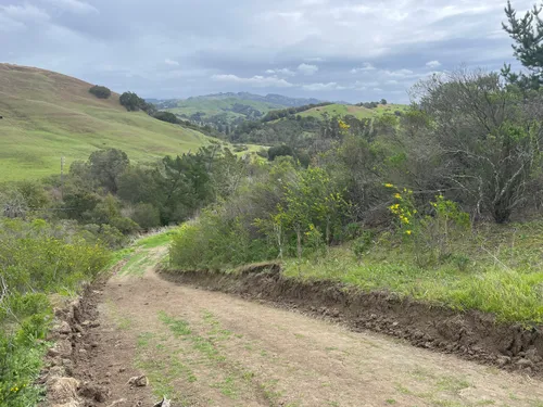 10 Best Hikes and Trails in East Bay Municipal Utility District Lands ...