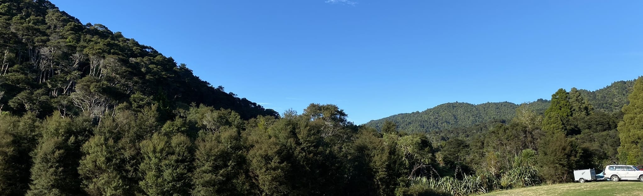 Valley Loop Track, Auckland, New Zealand - 11 Reviews, Map | AllTrails