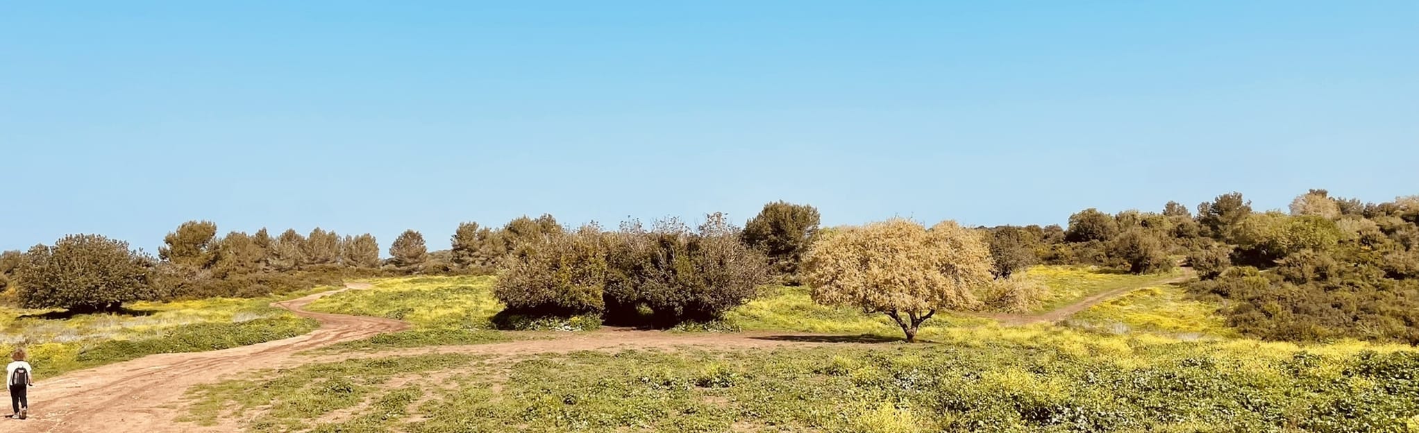 Horshan Forest, Hen Forest and Swida Ruins: 2 Reviews, Map - Haifa ...