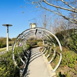 Buffalo Bayou: Blue Lagoon Trail, Texas - 620 Reviews, Map | AllTrails