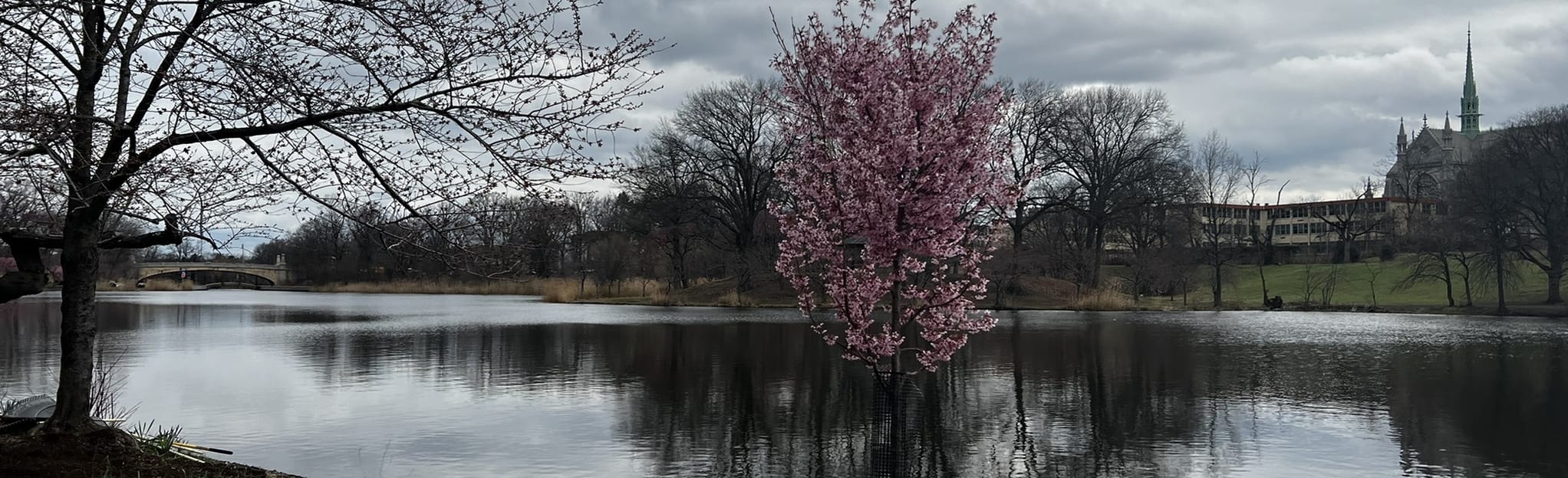 Branch Brook Park Loop | Map, Guide - New Jersey | AllTrails