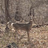 Chase Farm, Rhode Island - 228 Reviews, Map | AllTrails