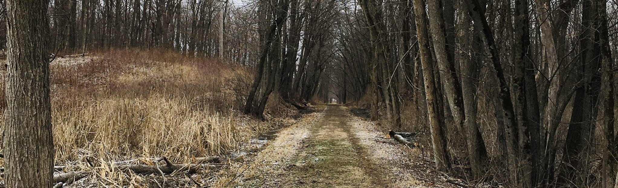 Duck Lake Nature Trail 01, Wisconsin - 27 Reviews, Map | AllTrails
