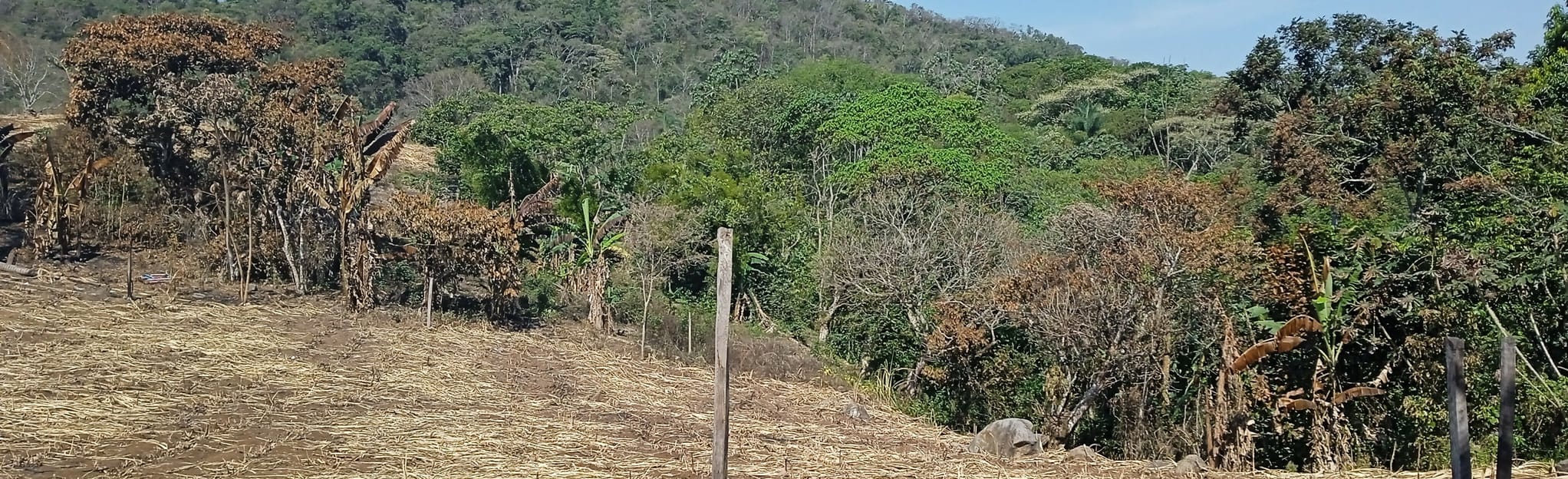 El Porvenir - San Rafael Calería, Veracruz, Mexico - 6 Reviews, Map ...