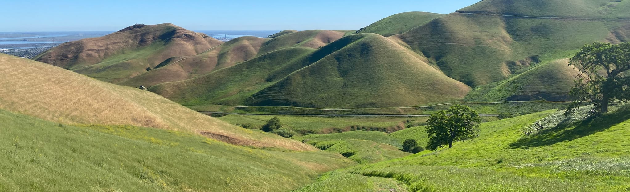 Lougher Loop Trail to Lougher Ridge Trail, California - 63 Reviews, Map ...