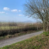 Wenlock Edge Circular, Shropshire, England - 99 Reviews, Map | AllTrails