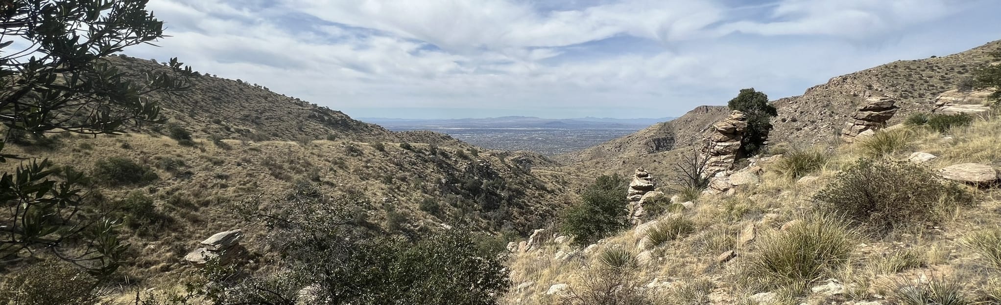 Soldier Trail, Arizona - 611 Reviews, Map | AllTrails