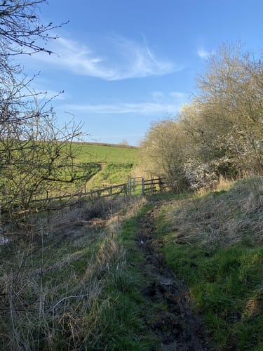 2023 Best Bike Touring Trails in Tilton on the Hill | AllTrails