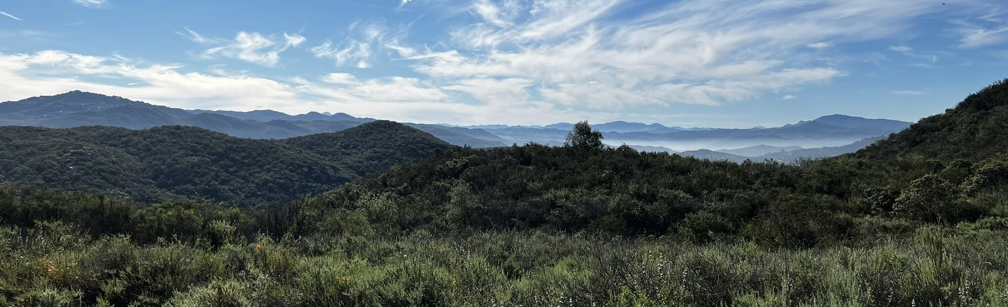 Boulder Loop Trail: 859 Reviews, Map - California | AllTrails