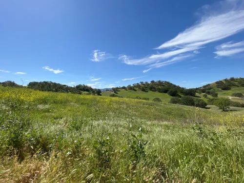 10 Best Hikes and Trails in Shell Ridge Open Space | AllTrails