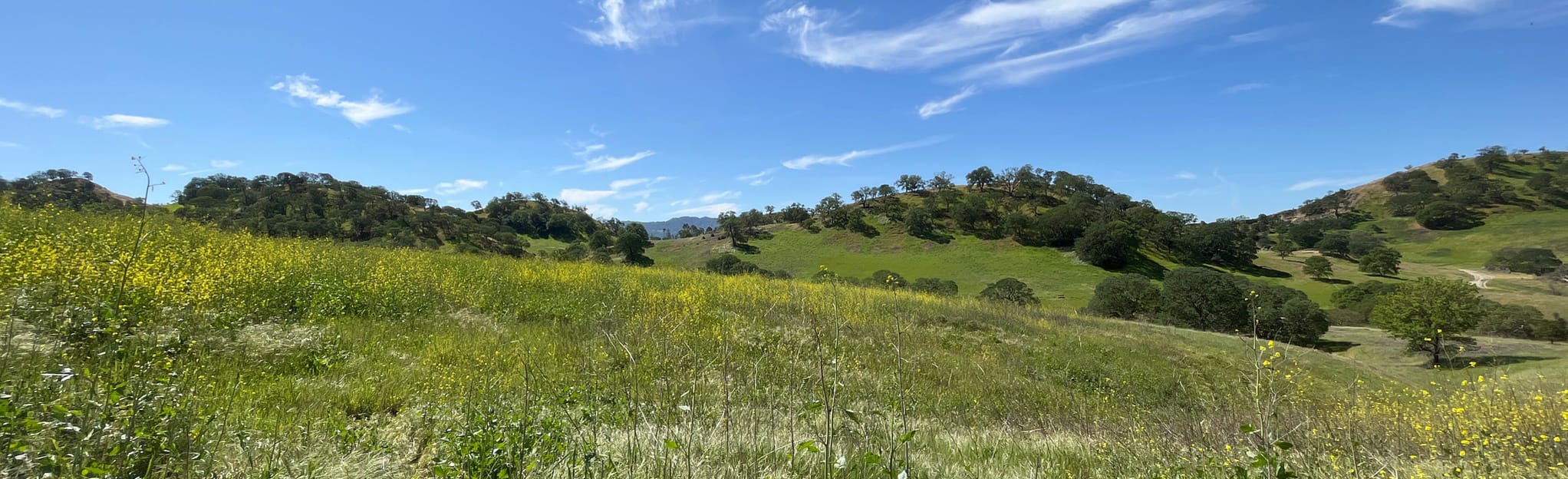 Indian Creek Trail Loop, California - 774 Reviews, Map | AllTrails