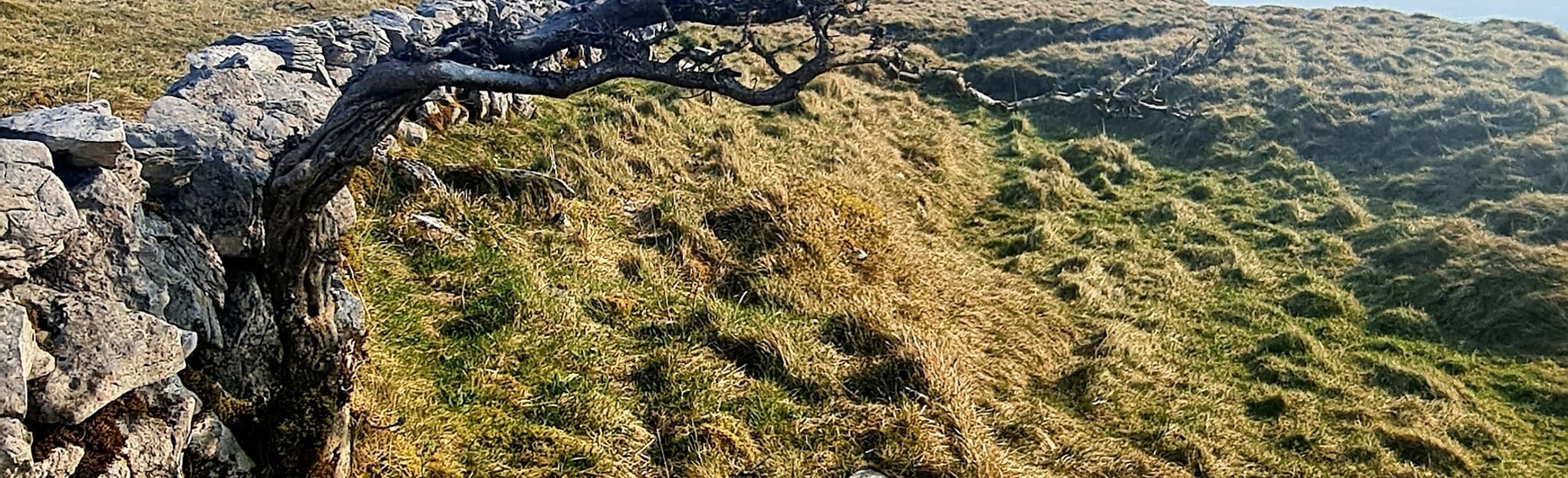 Slieve Carran, County Clare, Ireland - 40 Reviews, Map | AllTrails