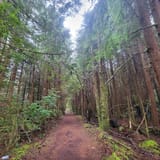 Narnia Trail, Washington - 111 Reviews, Map | AllTrails