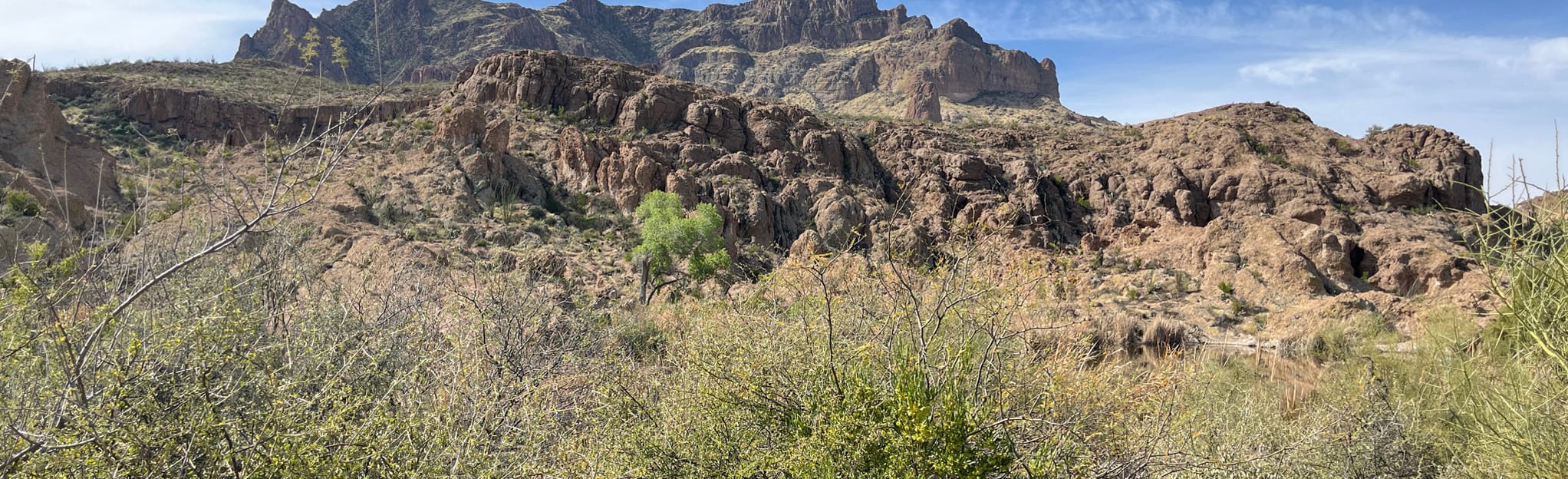 Boyce Thompson Arboretum Main Trail , Arizona - 757 Reviews, Map ...
