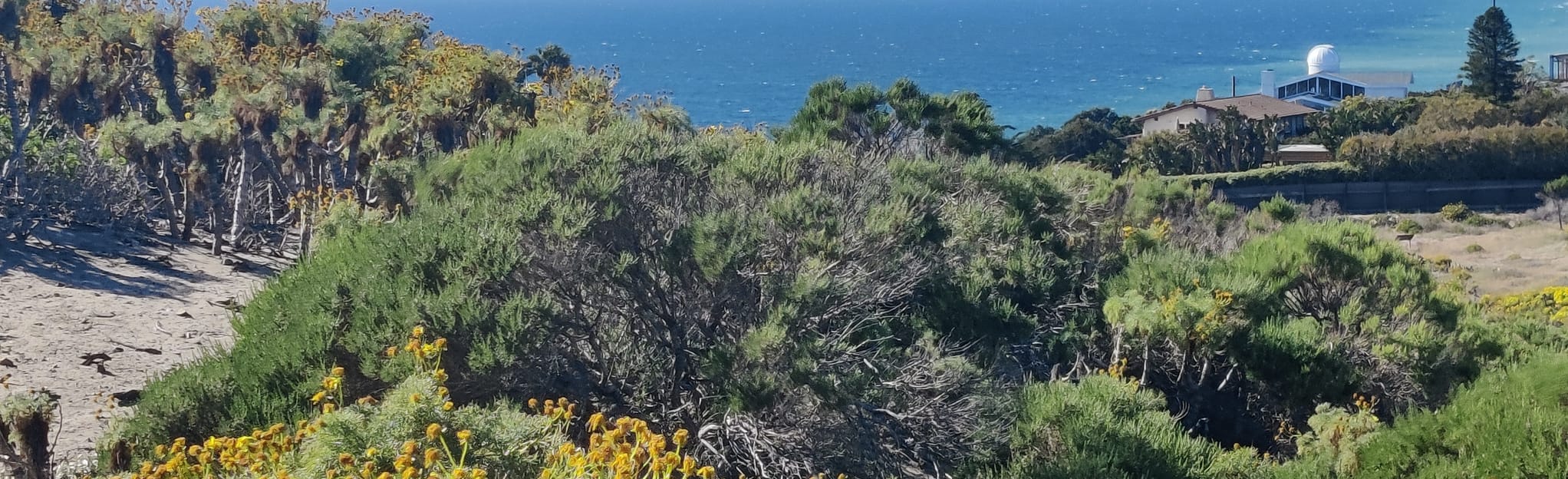 Point Dume Cove Trail, California - 1,488 Reviews, Map | AllTrails