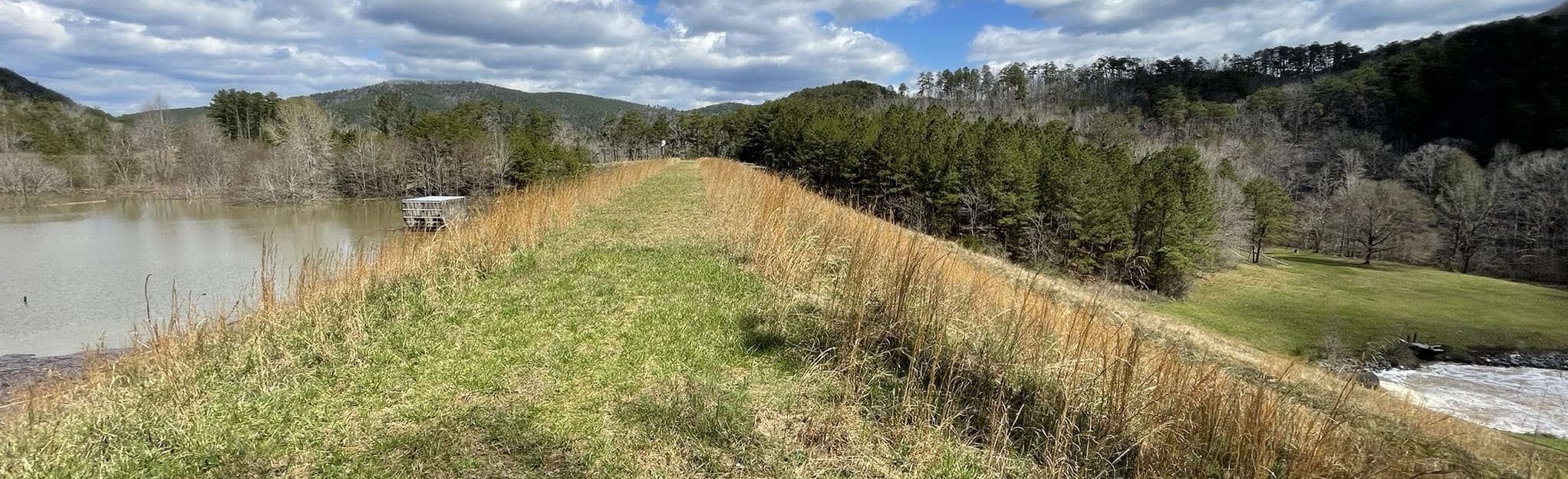 Pinhoti Trail: Chief Ladiga Trail to CR 500: 50 Reviews, Map - Alabama ...