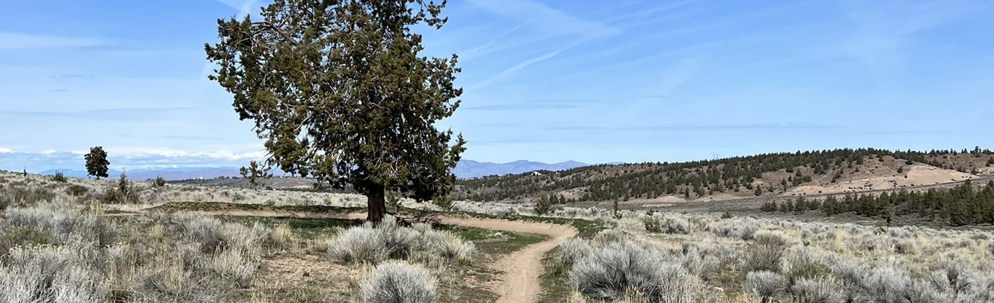 Madras East Trails Loop, Oregon - 64 Reviews, Map | AllTrails