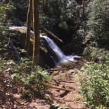 Lumber Ridge Trail, Tennessee - 211 Reviews, Map | AllTrails