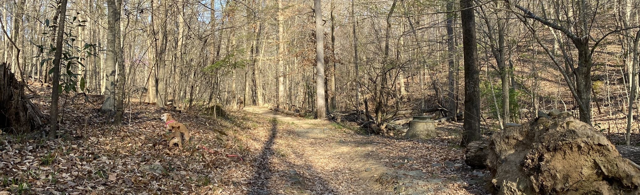AllTrails | Battle Branch Trail: 278 Reviews, Map - North Carolina