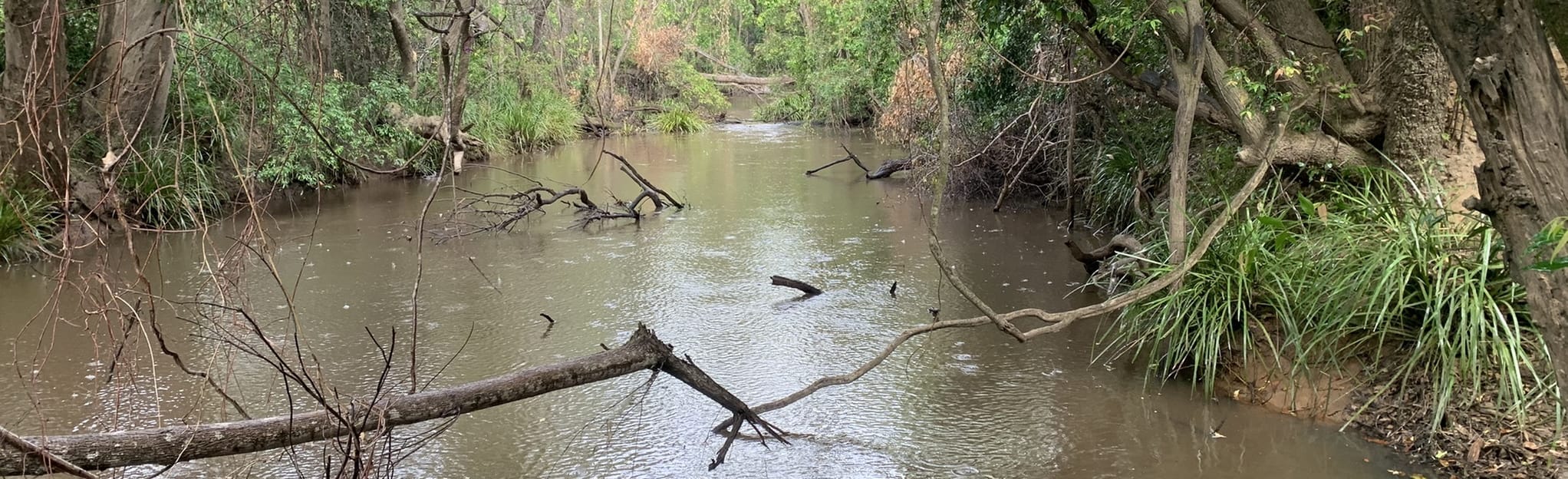 Cordalba MTB Loop: 12 Fotos - Queensland, Australien | AllTrails