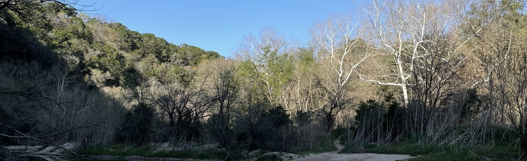 Violet Crown Trail: 360 Trailhead to 290 Trailhead: 1,070 Reviews, Map ...